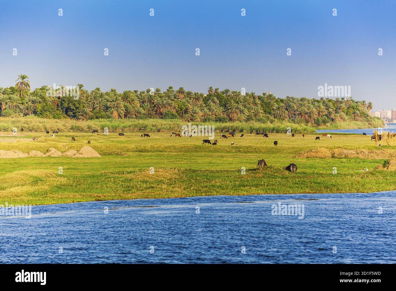 Nile river air view hi-res stock photography and images - Alamy
