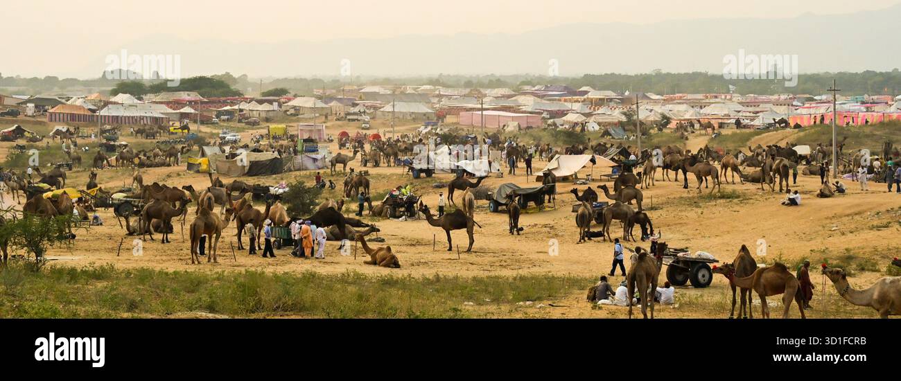 Annual Camel Fair in Pushkar, shows thousands of livestock traders from ...