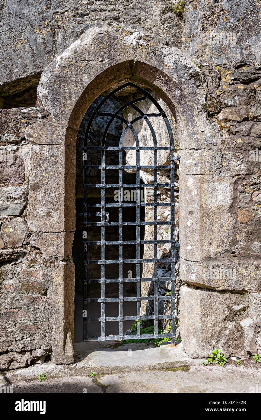 Gothic door with iron lattice. Elements of architecture of buildings ...