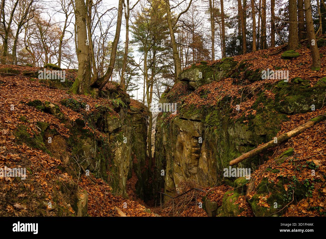 Devil Gorge at the Eifel, Teufelsschlucht with mighty boulders and ...