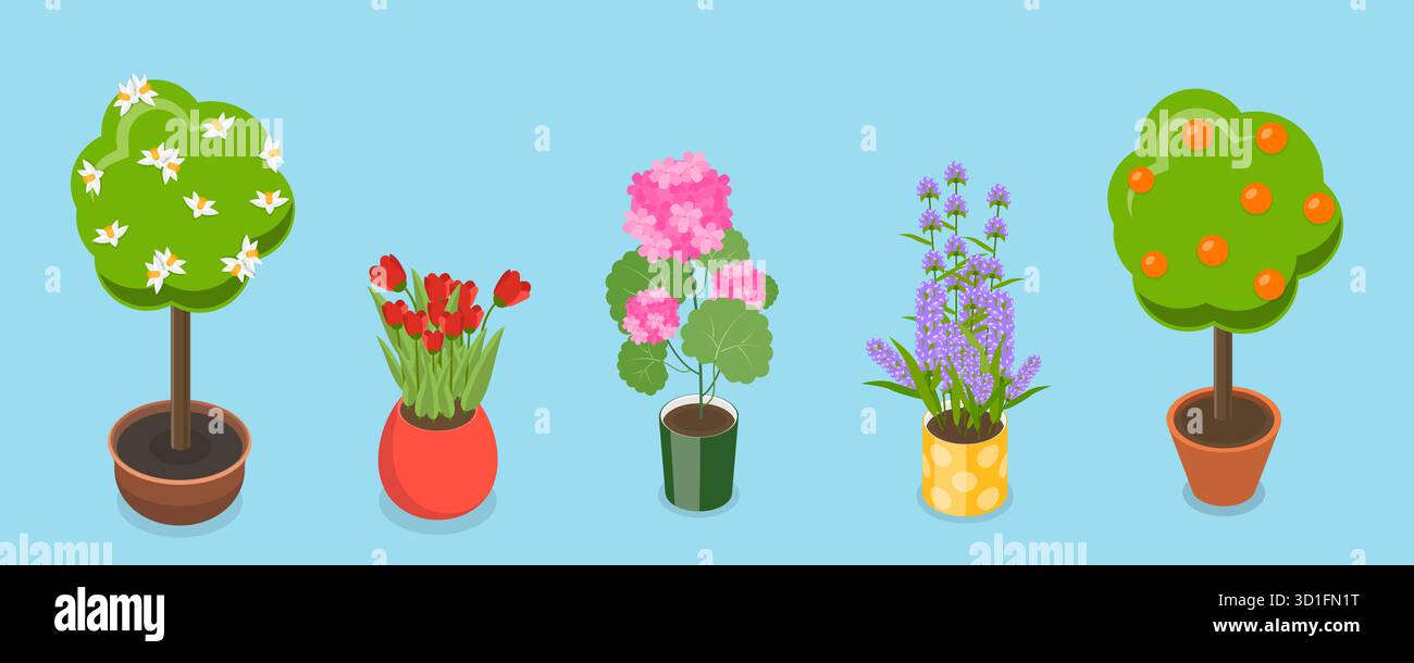 3D Isometric Flat Set of Garden Flowers, Different Plants in Pots Stock ...