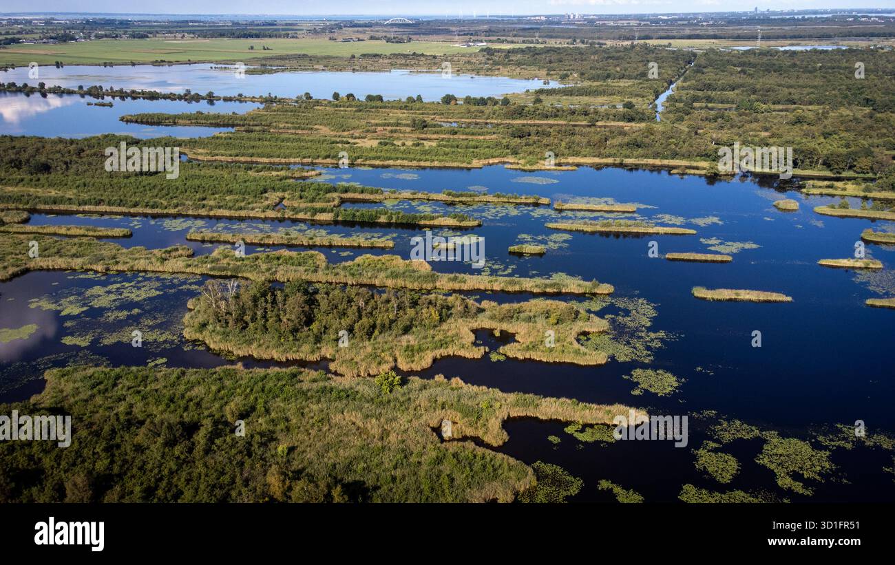 Aerial view of the Ankeveense Plassen wetlands, a result of peat ...