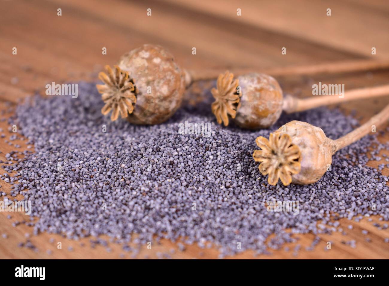 Dried poppy heads and a pile of poppy seeds, on a wooden background ...
