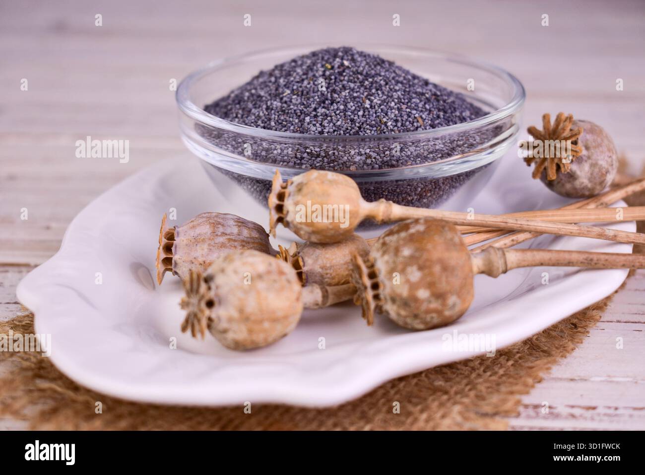 Poppy seeds in a transparent bowl and dried poppy heads, on a white ...