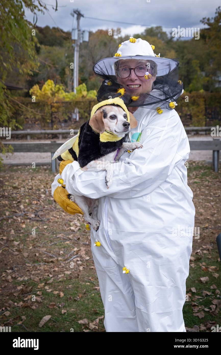A beagle dressed like a bee & owner dressed like a beekeeper at the ...