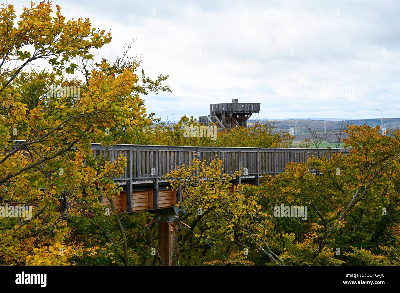 Der baumwipfelweg hi-res stock photography and images - Alamy