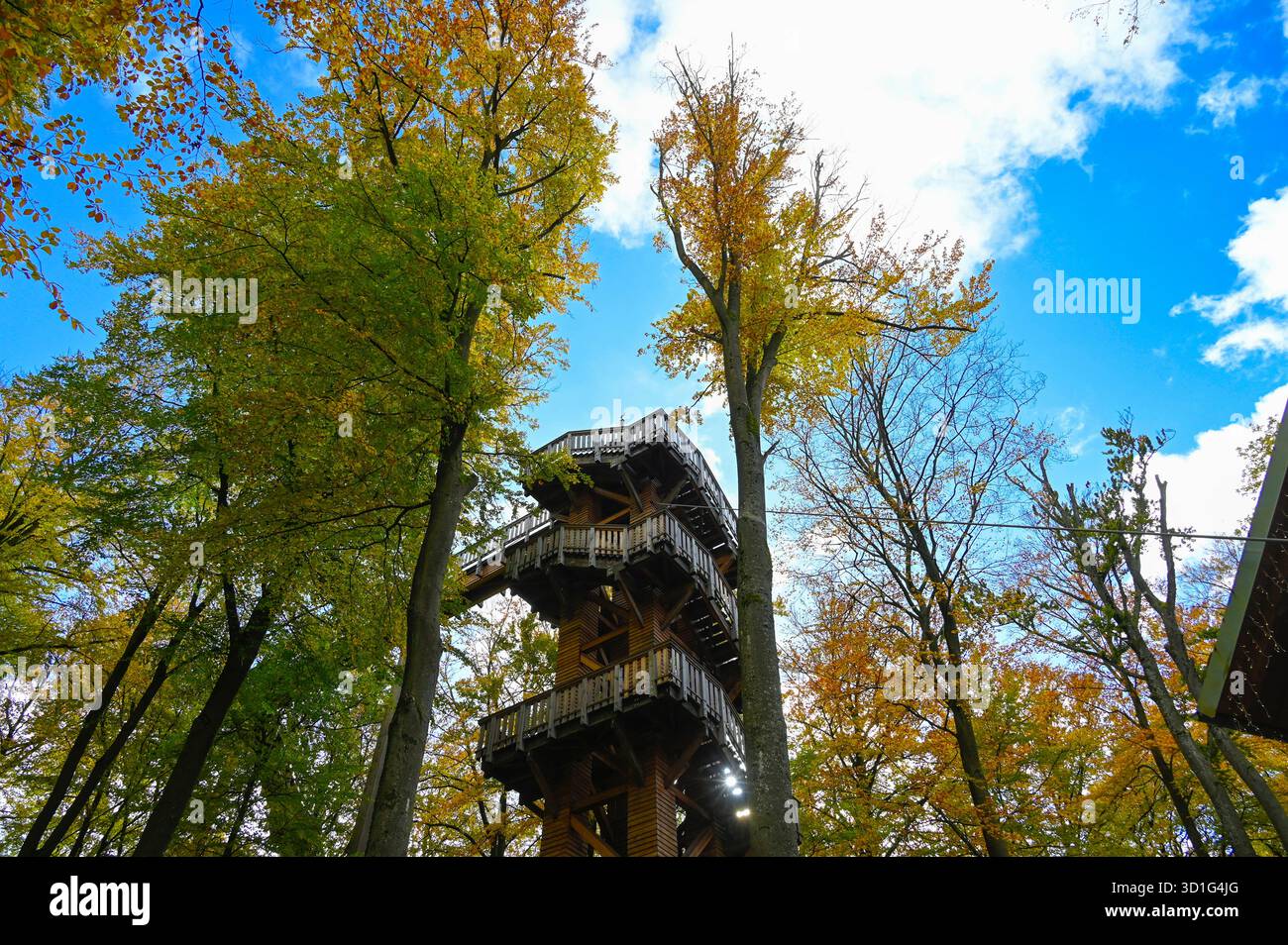 Der baumwipfelweg hi-res stock photography and images - Alamy