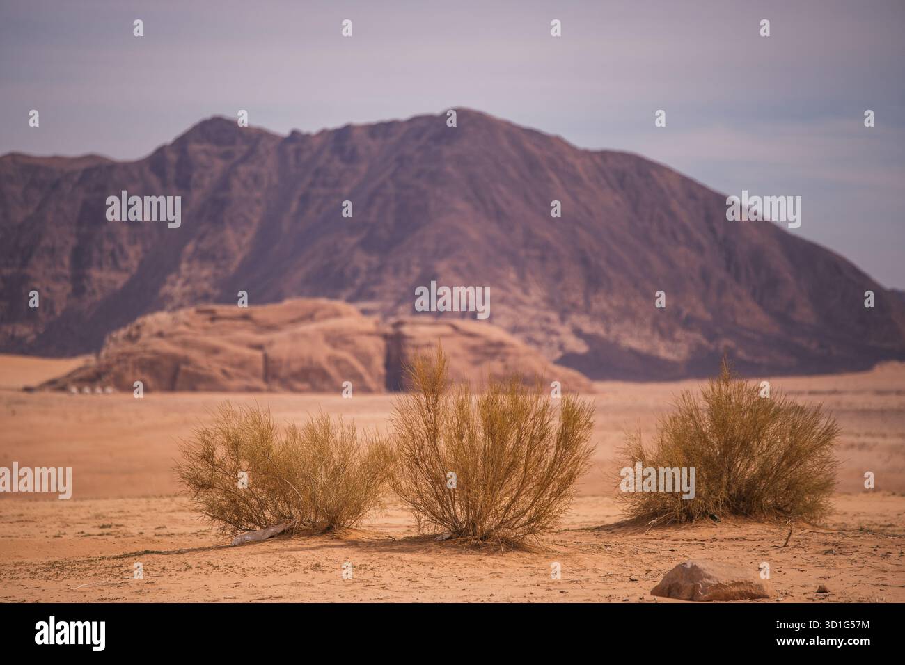 Expansive desert landscapes in Wadi Rum, southern Jordan, showing ...