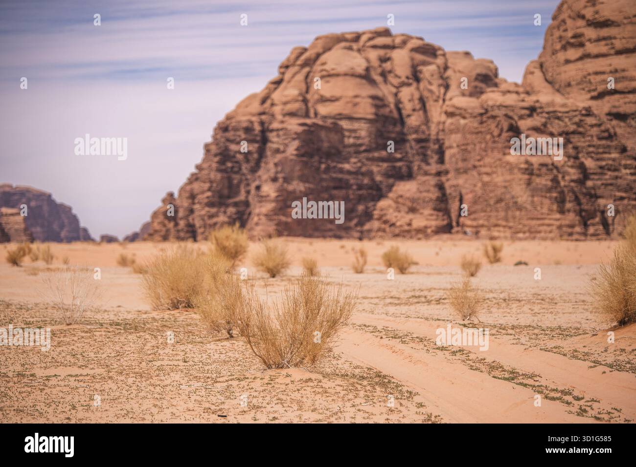 Expansive desert landscapes in Wadi Rum, southern Jordan, showing ...