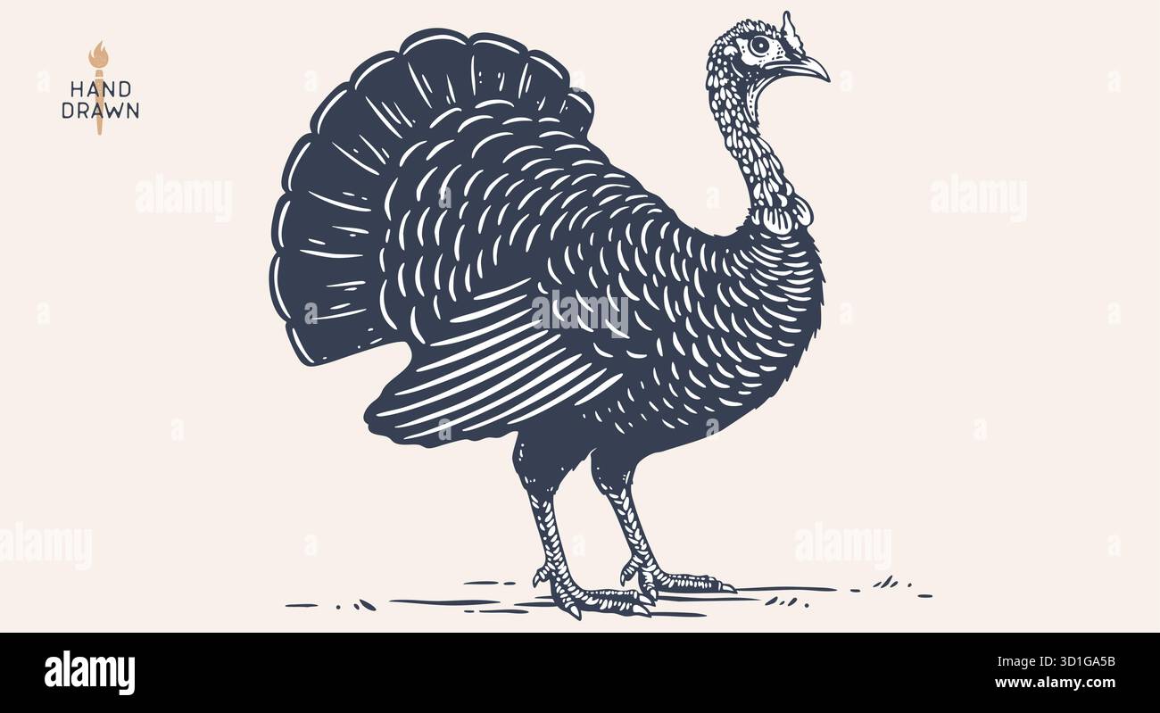 Vintage turkey dinner hi-res stock photography and images - Alamy