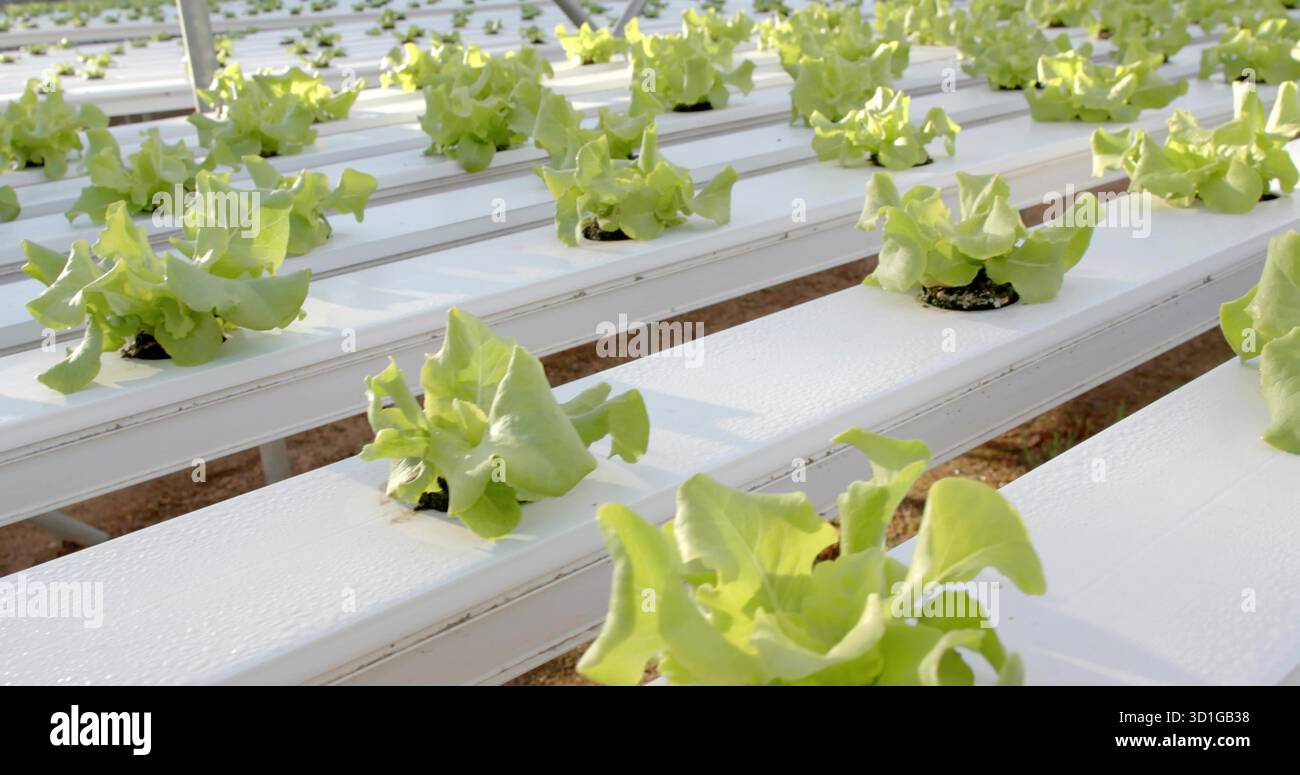 Elevated channels hi-res stock photography and images - Alamy