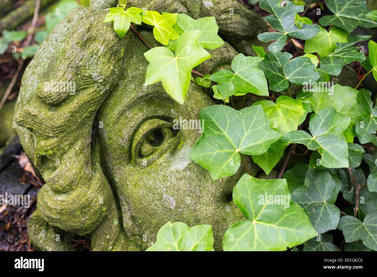 Classic statue at the leaves density Stock Photo - Alamy