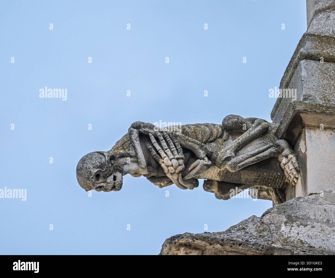 A skeleton gargoyle rests on the cornice of Palencia Cathedral in Spain ...