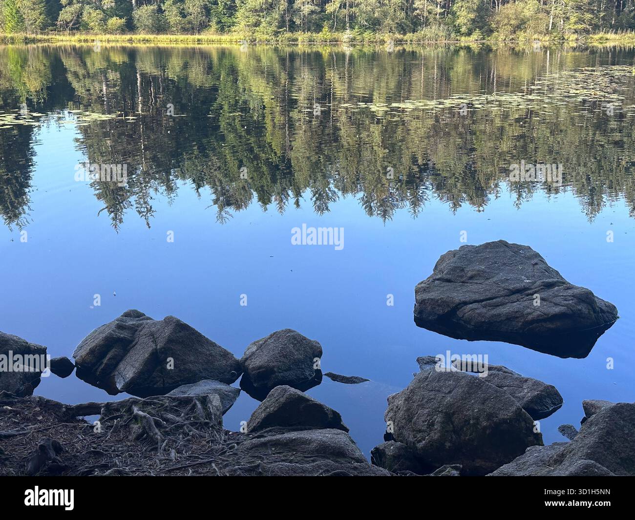 Reflections in Plantain Loch, Dalbeattie Forest, Dalbeattie, Dumfries ...
