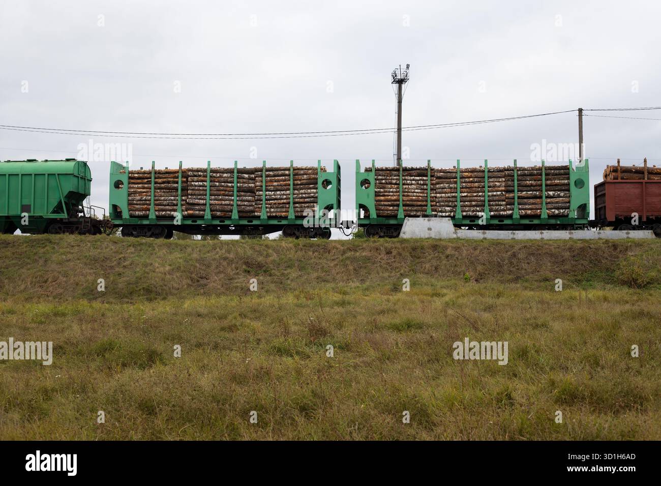 Railroad cars loaded with timber are parked on the tracks. Railroad ...