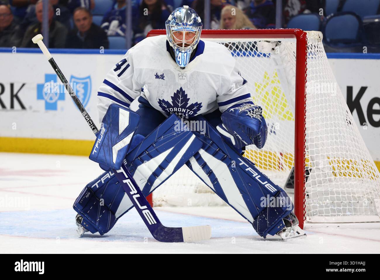 Toronto Maple Leafs goaltender Anthony Stolarz (41) looks on during the ...
