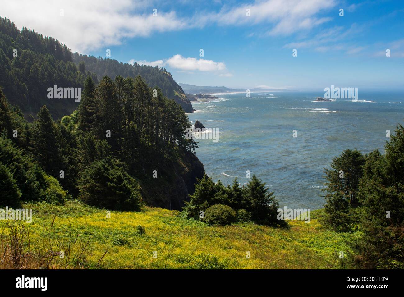 Breathtaking views of the Oregon coast from Otter Crest Loop, Depoe Bay ...