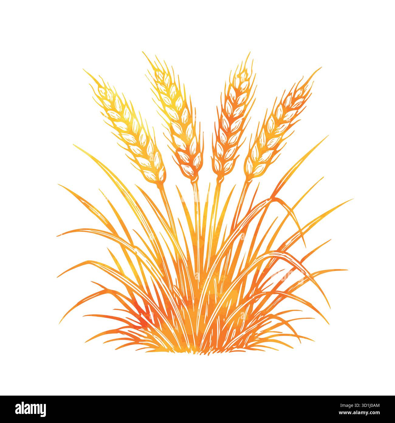Yellow wheat object hand Stock Vector Images - Alamy
