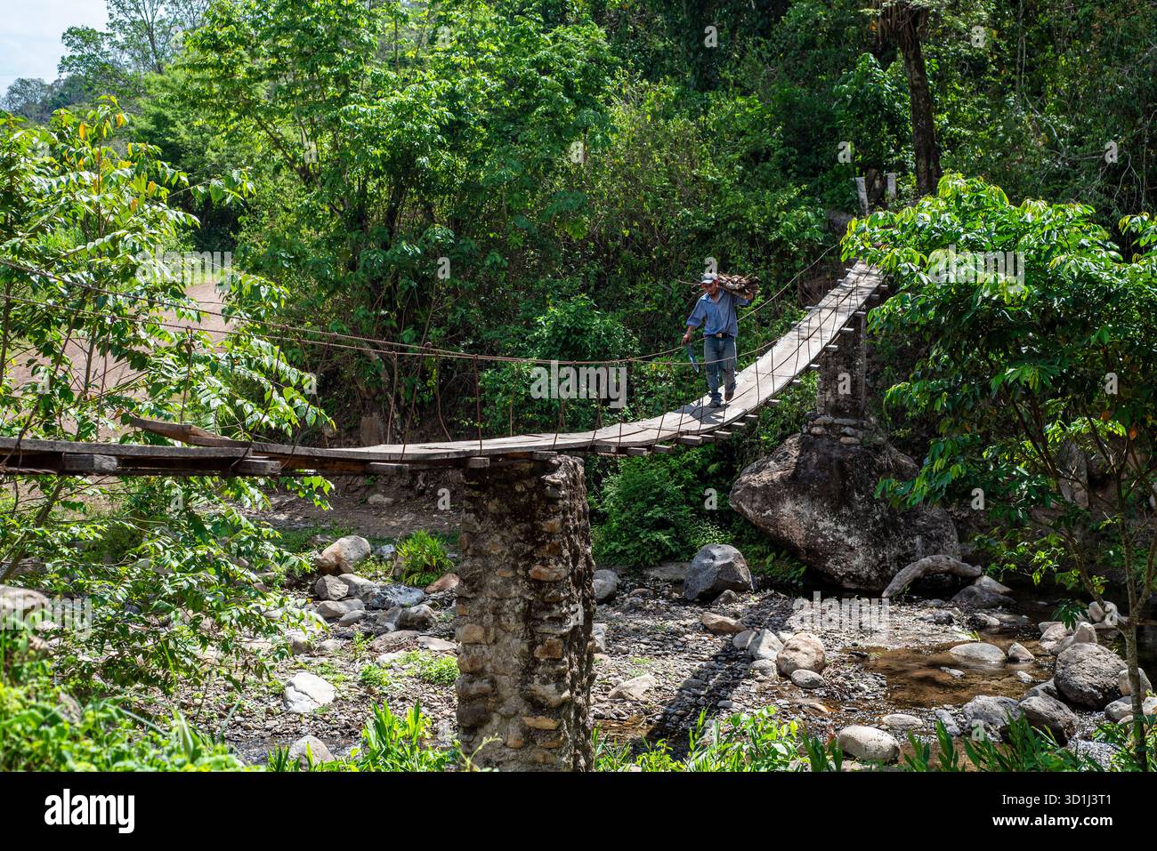 Man Crossing a Rustic Suspension Bridge Through Lush Forest Over a ...