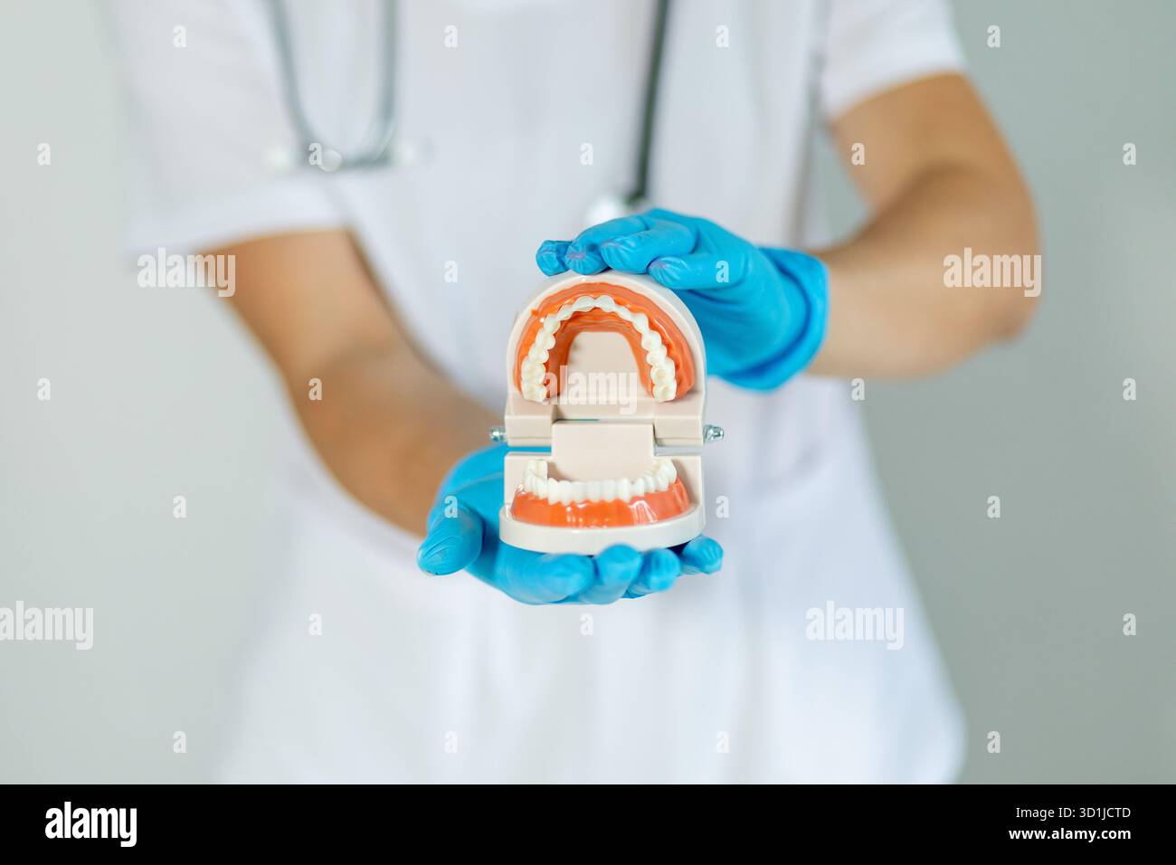 Dental expert showcases model hi-res stock photography and images - Alamy
