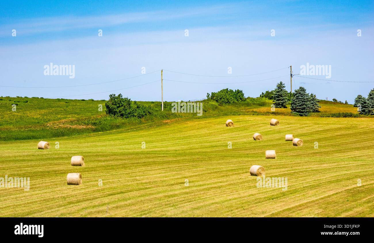 Farm fields on northern coast of Prince Edward Island Canada Stock ...