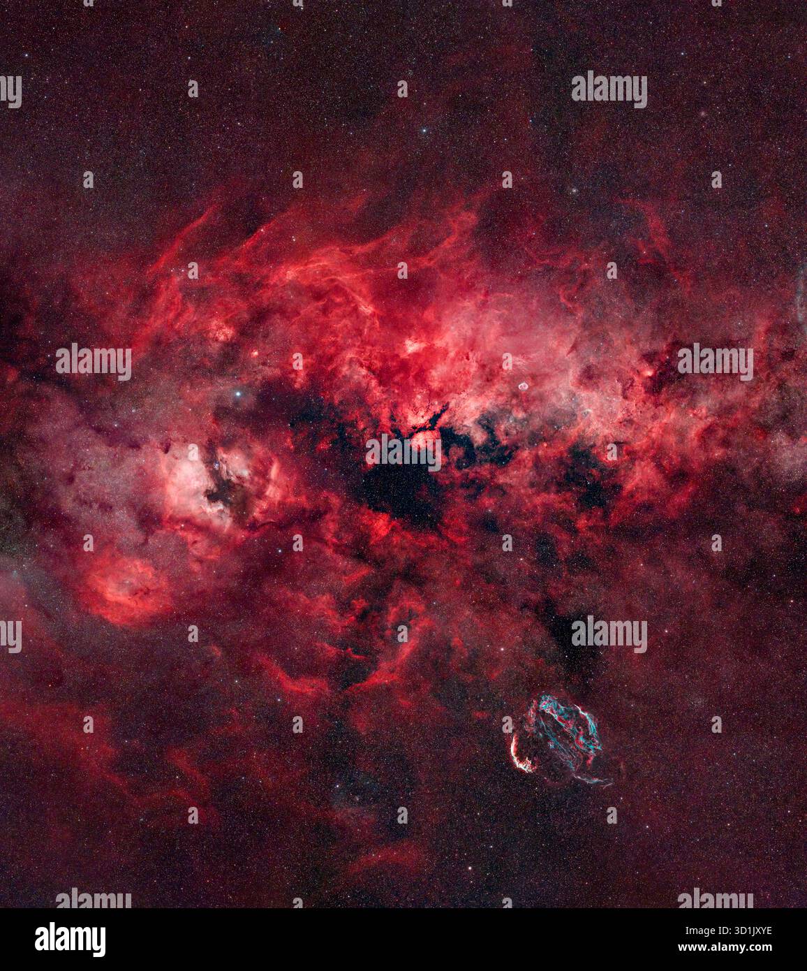 Massive clouds of hydrogen gas are glowing in the Cygnus constellation ...