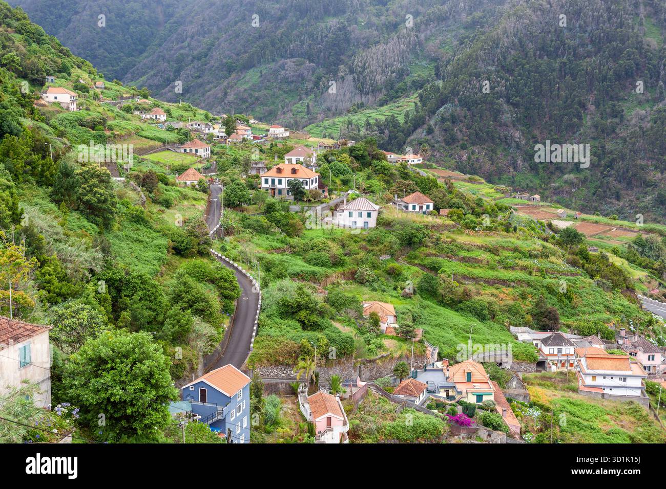 Charming traditional houses nestled in the lush green hills of Madeira ...