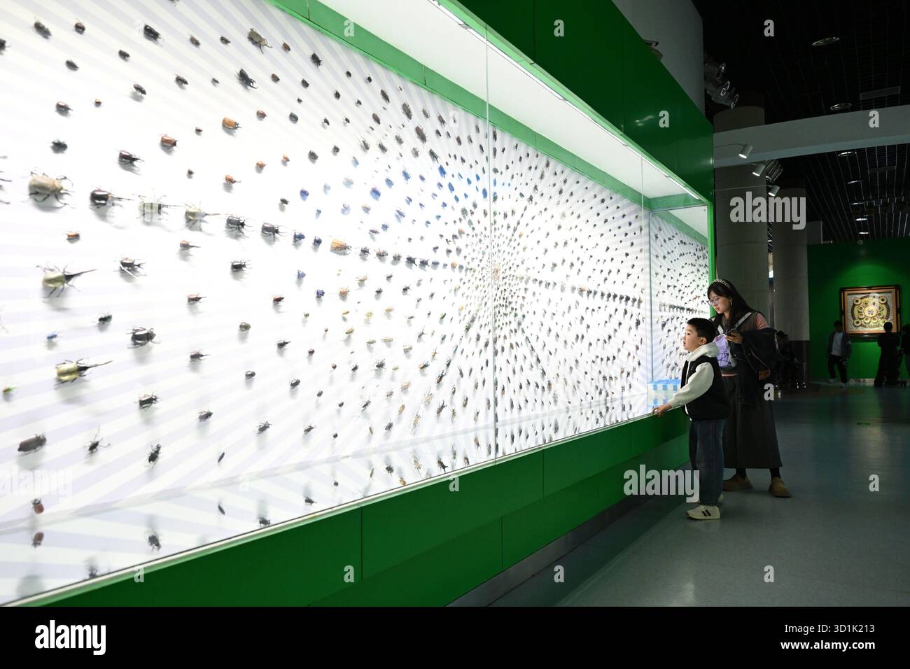 (251029) -- BEIJING, Oct. 29, 2025 (Xinhua) -- Tourists visit the ...