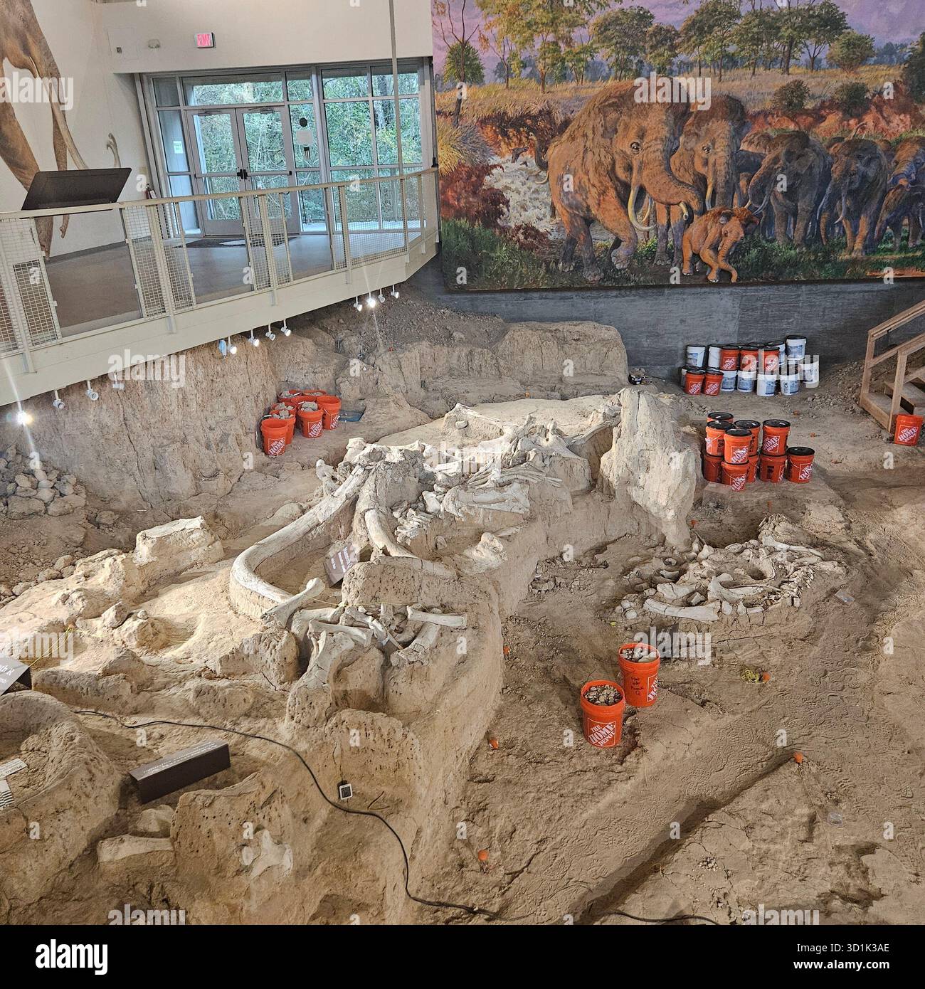 Inside the Dig Shelter at Waco Mammoth National Monument, Texas Stock ...