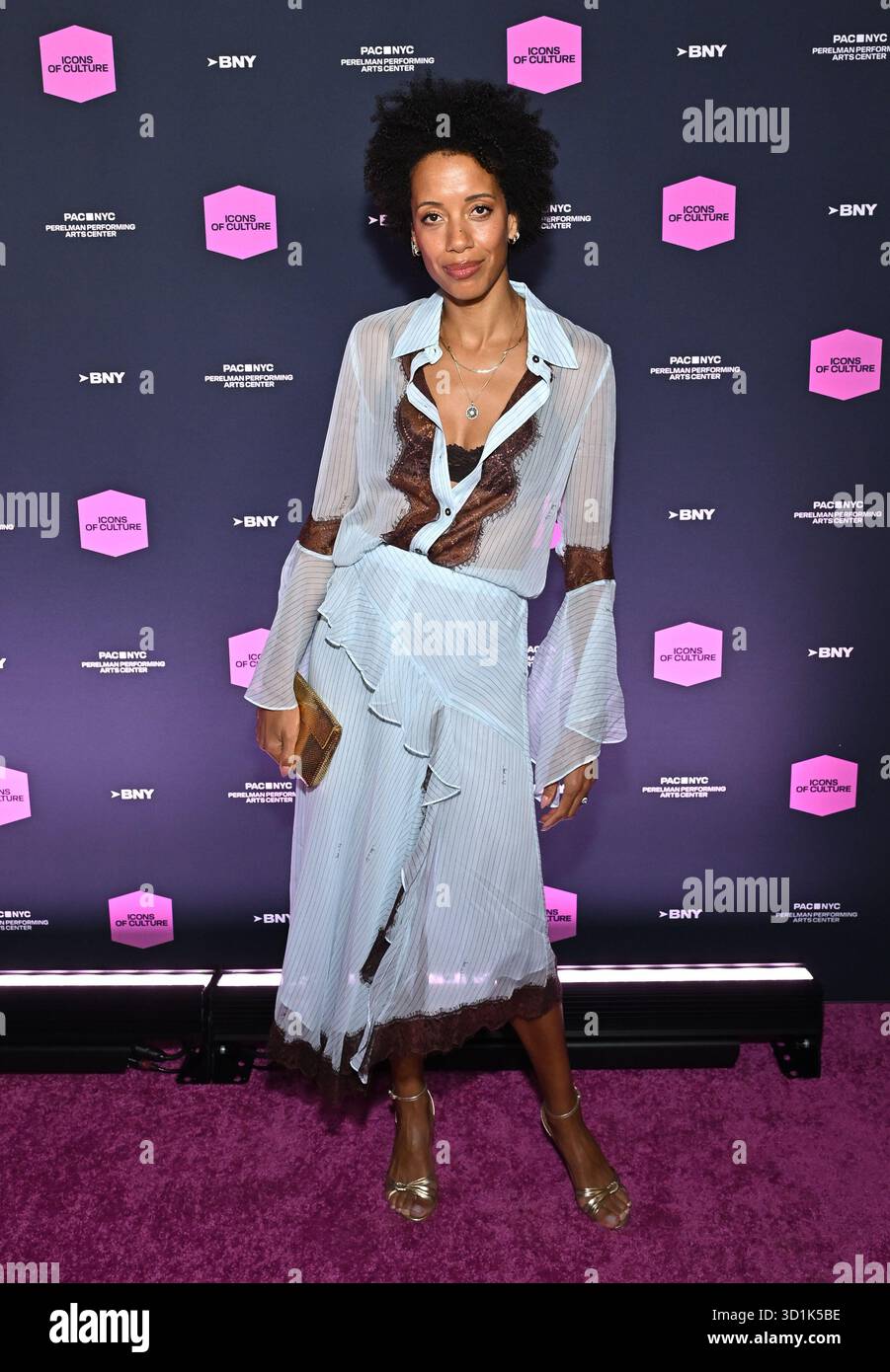 Carly Cushnie attends the PAC NYC Icons of Culture Gala at Perelman ...