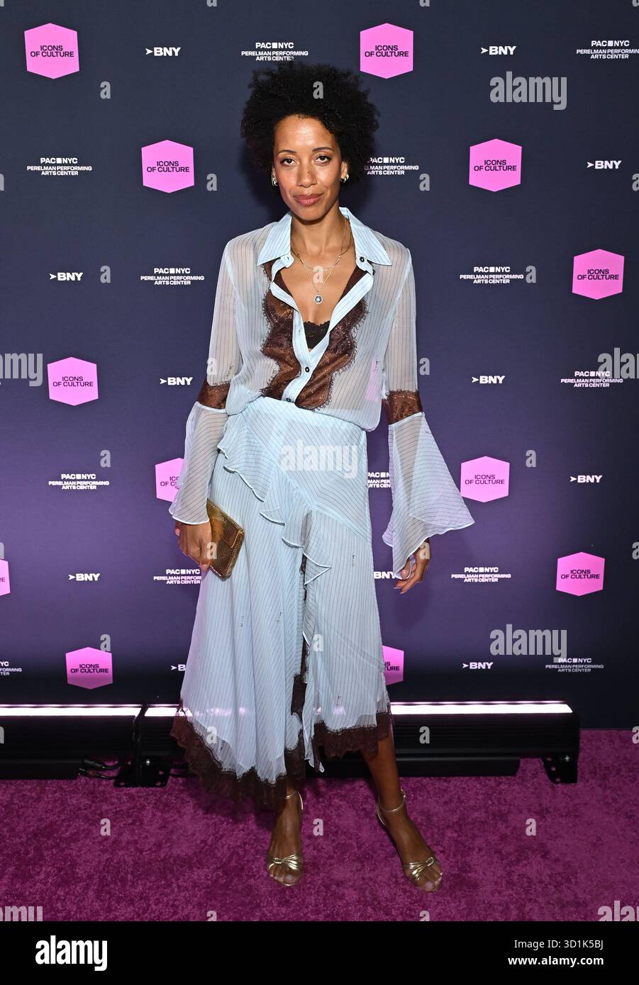 Carly Cushnie attends the PAC NYC Icons of Culture Gala at Perelman ...