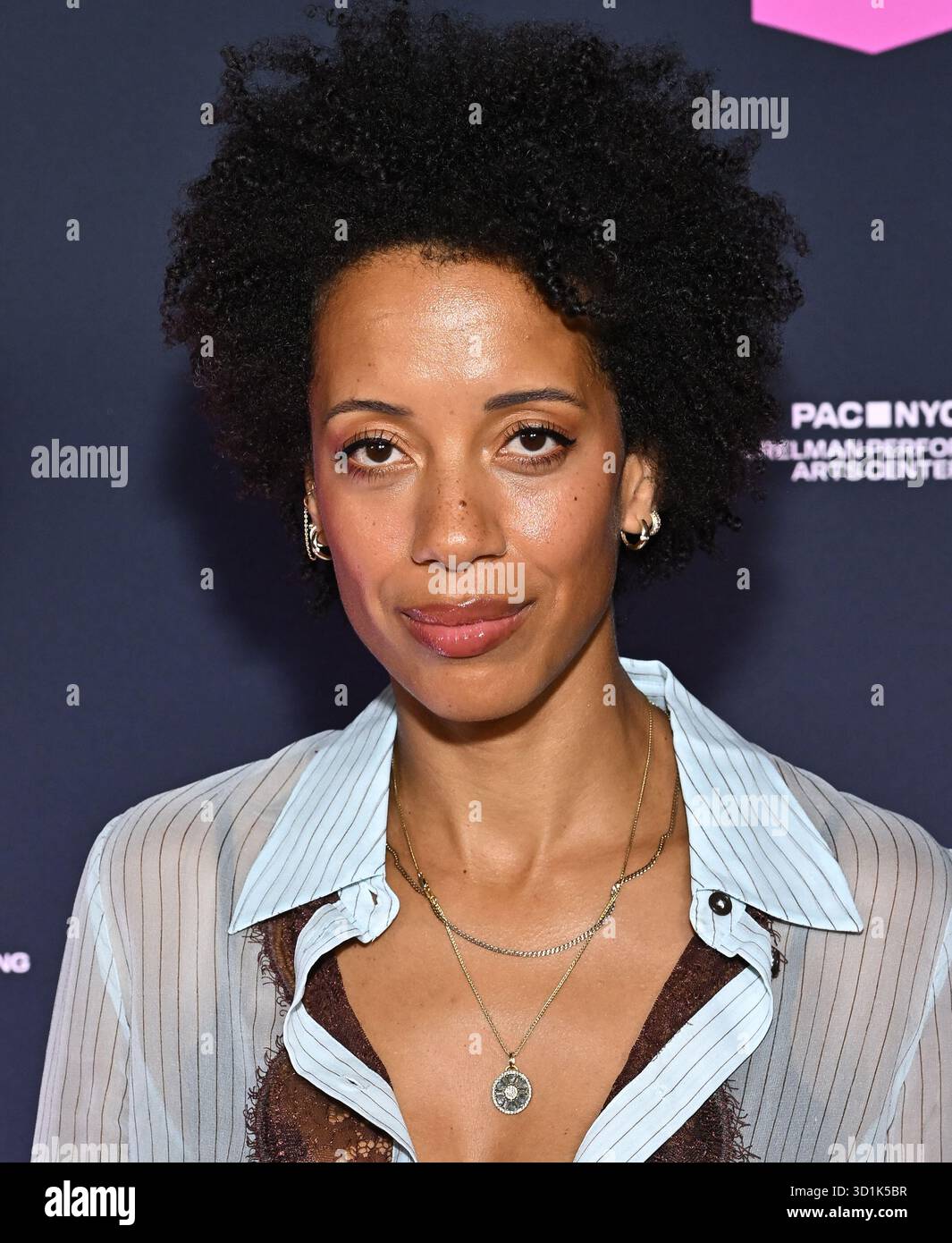 Carly Cushnie attends the PAC NYC Icons of Culture Gala at Perelman ...