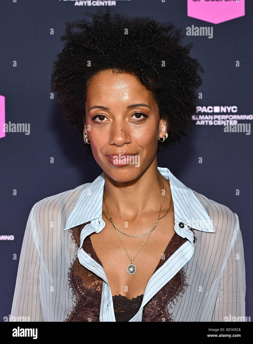 Carly Cushnie attends the PAC NYC Icons of Culture Gala at Perelman ...