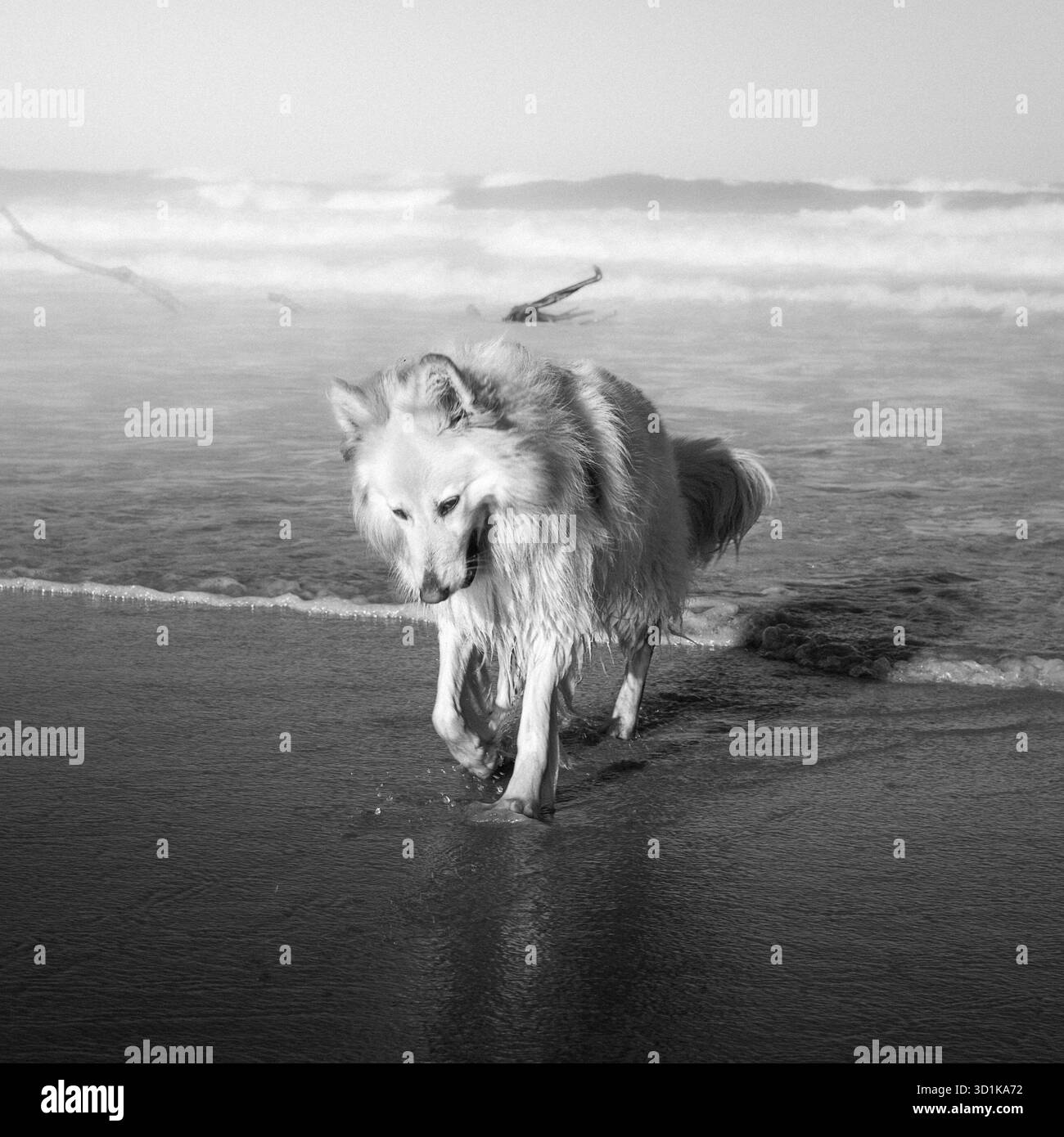 Motion friend Black and White Stock Photos & Images - Alamy
