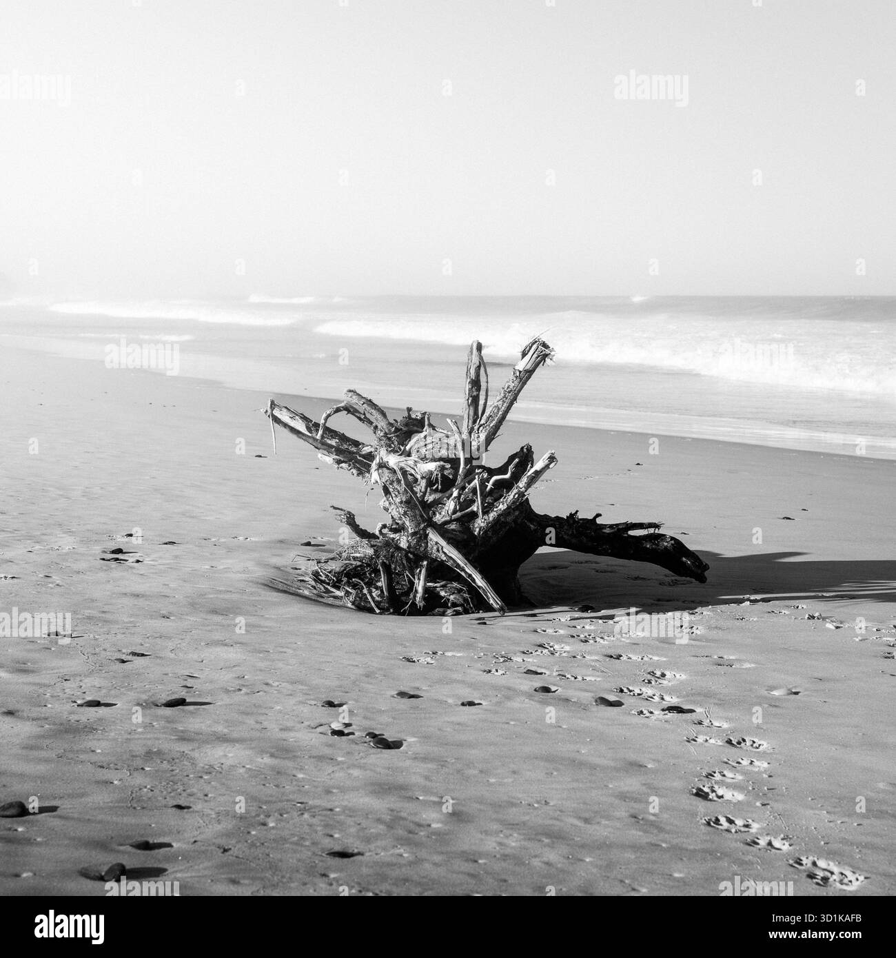 Vintage beach background old Black and White Stock Photos & Images - Alamy