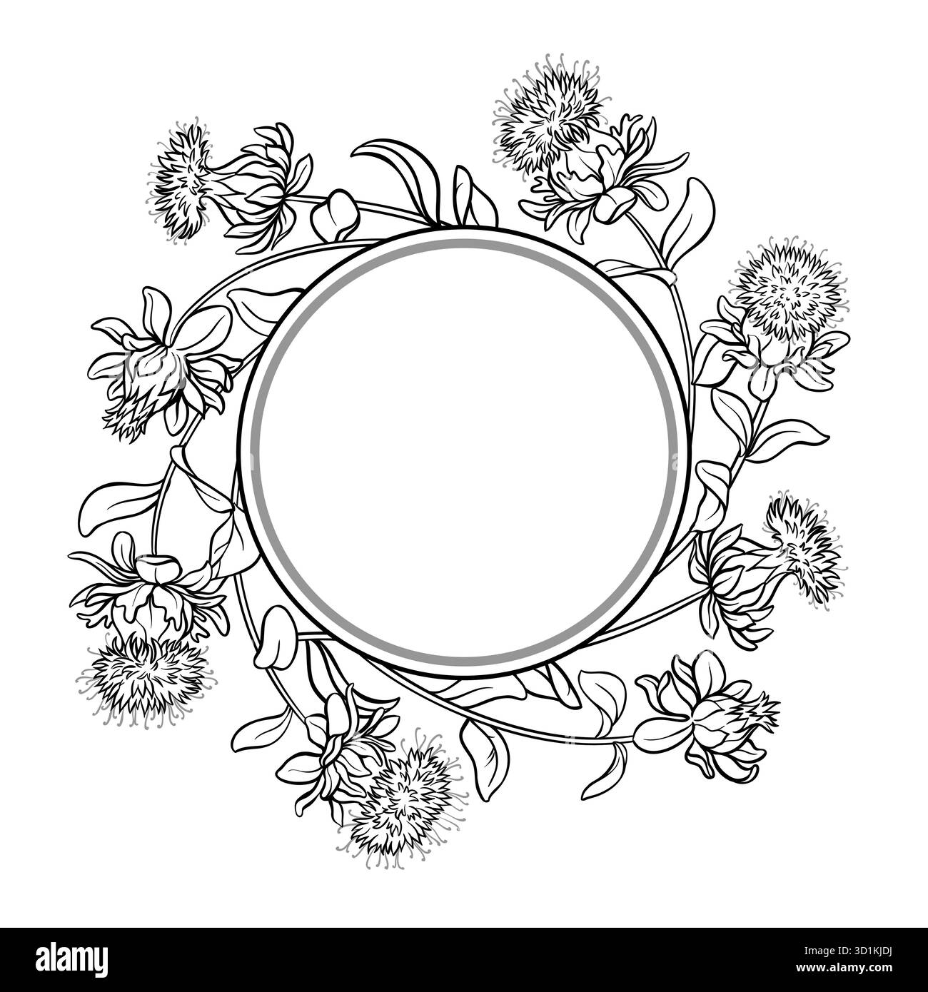 Saflower Plant Outline Round Frame Stock Vector Image & Art - Alamy