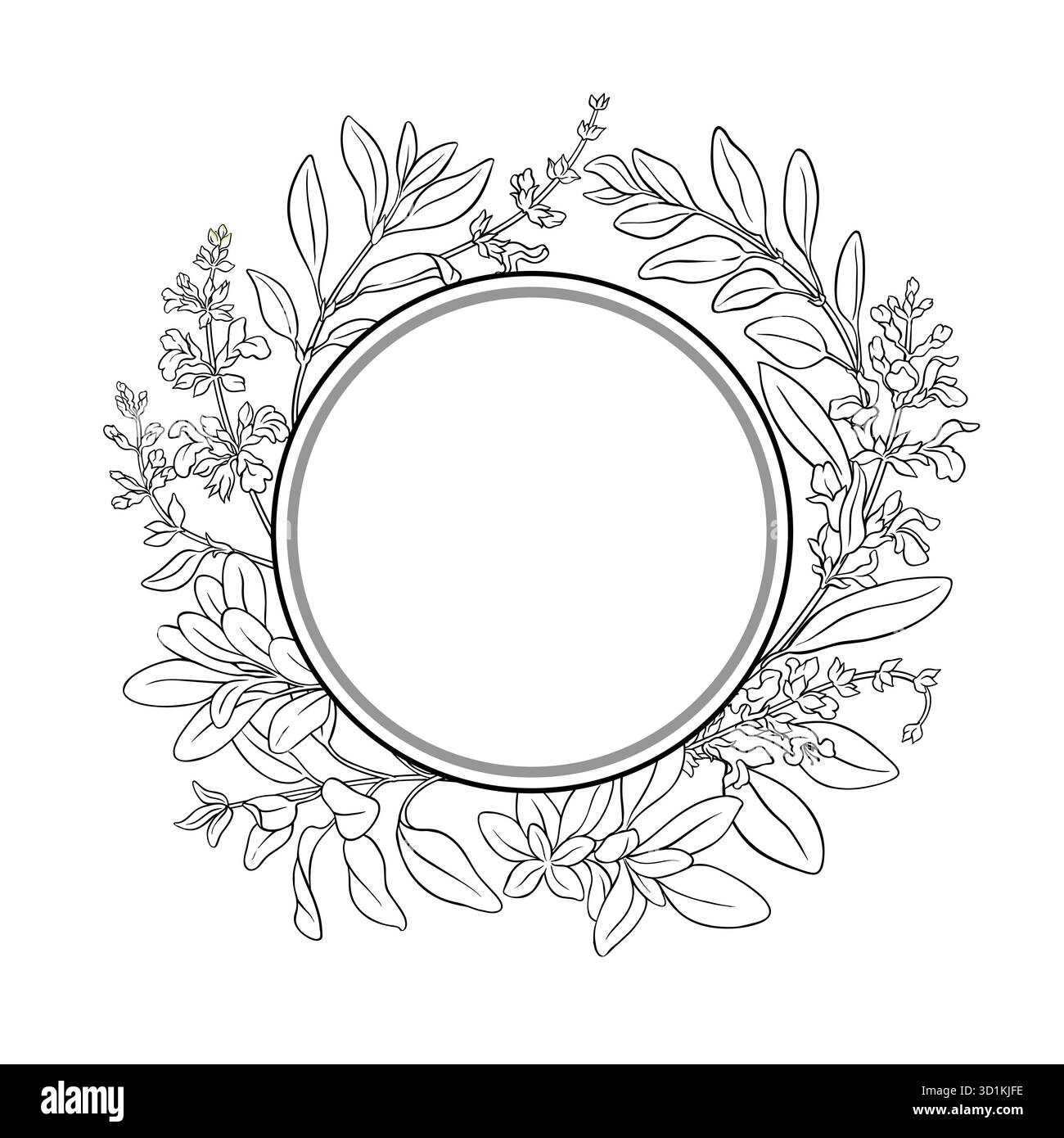 Round leaf plant Stock Vector Images - Alamy