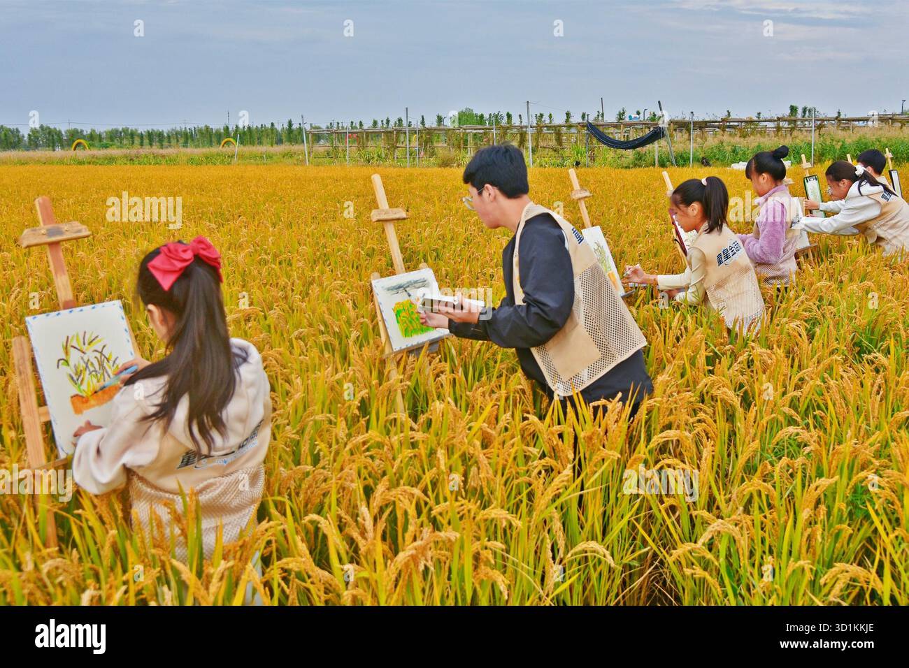 Children draw pictures of the harvest scene in the rice field in Rugao ...