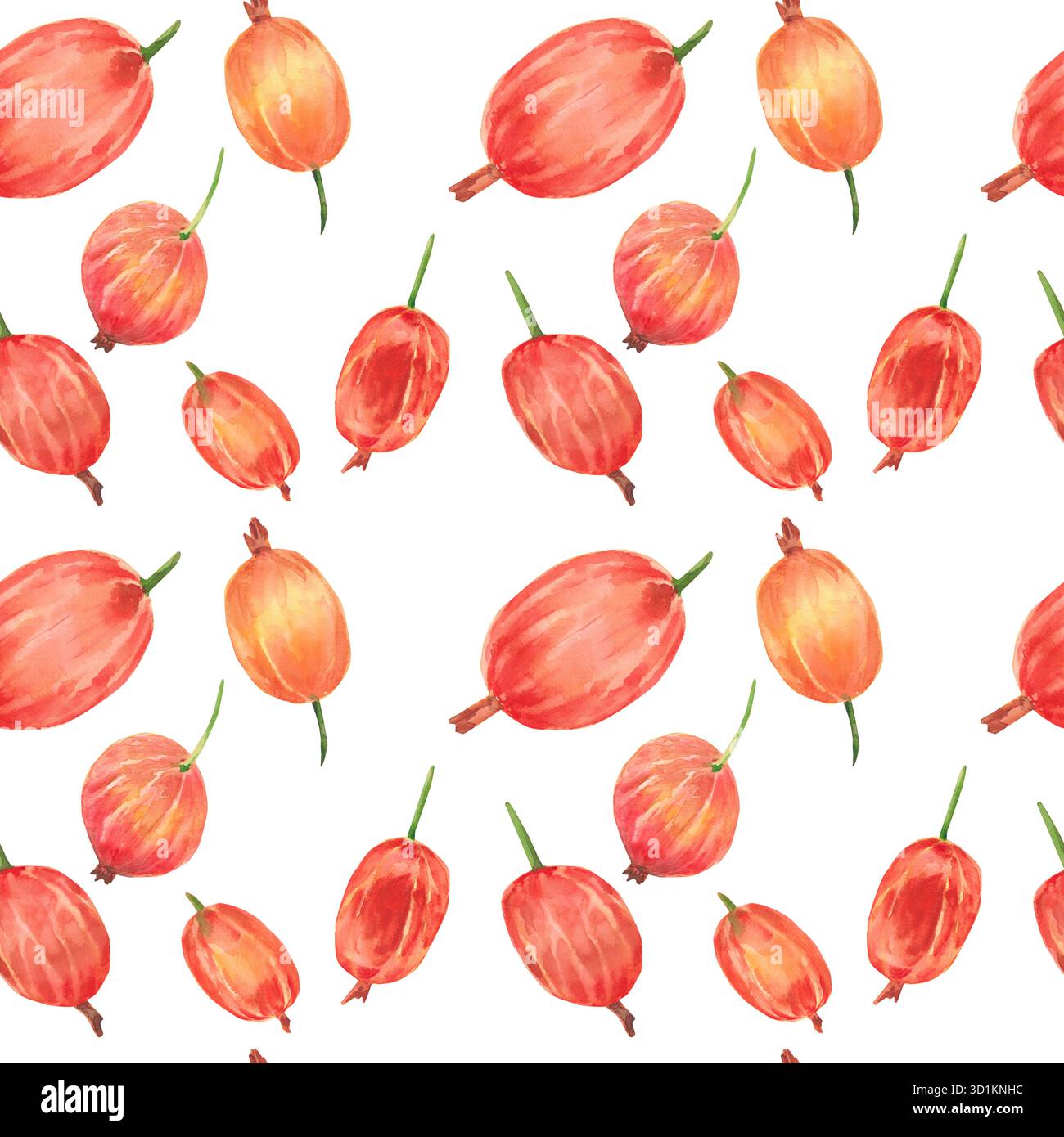 Gooseberry craft Cut Out Stock Images & Pictures - Alamy