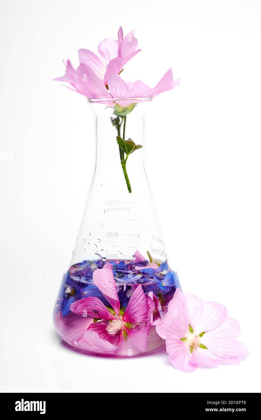 laboratory flask holds a mixture of pink and blue flowers, showcasing ...