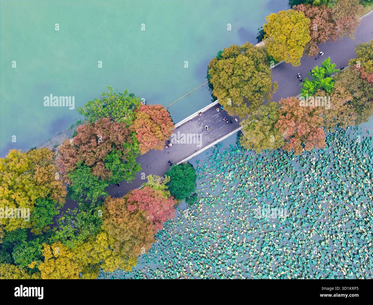 Autumn scenery in Nanjing City, east China's Jiangsu Province, 26 ...