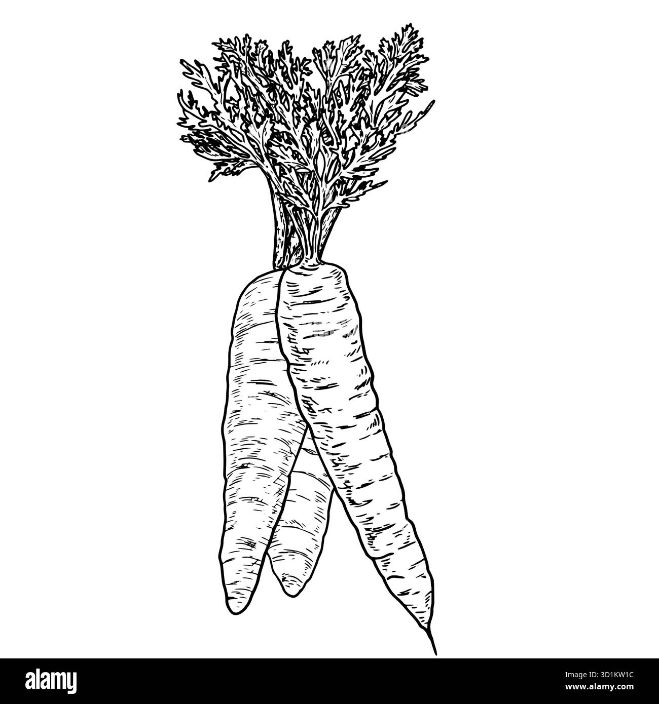 Ingredient appetizing Black and White Stock Photos & Images - Alamy