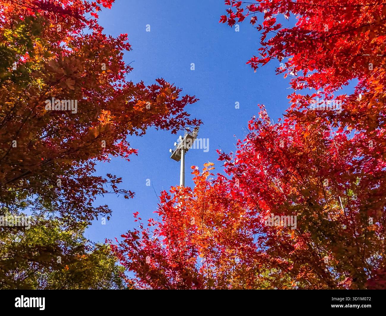Autumn scenery at the Canal Culture Square in Beijing, China, 26 ...