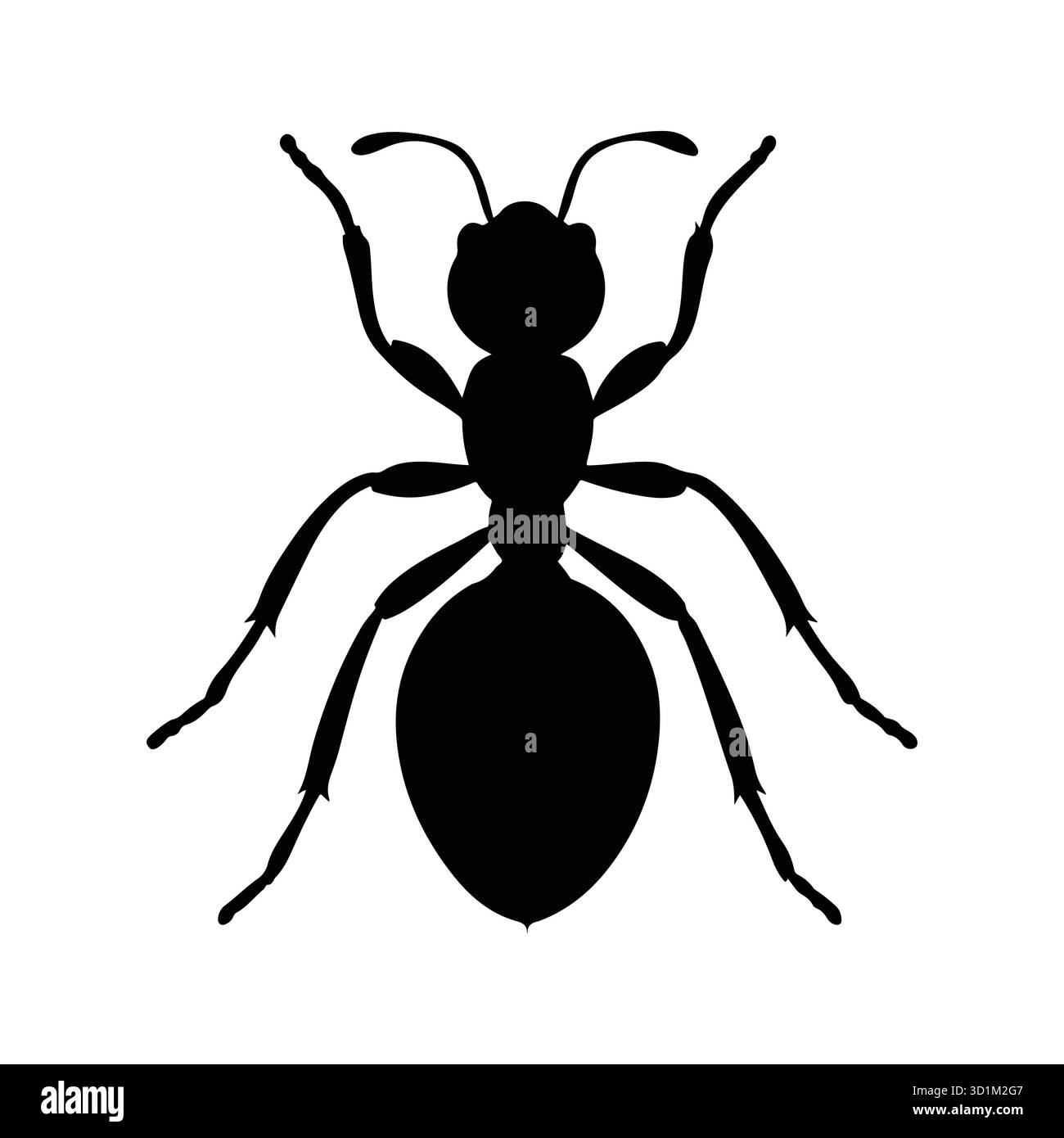 Silhouette of insect on leaf Cut Out Stock Images & Pictures - Alamy