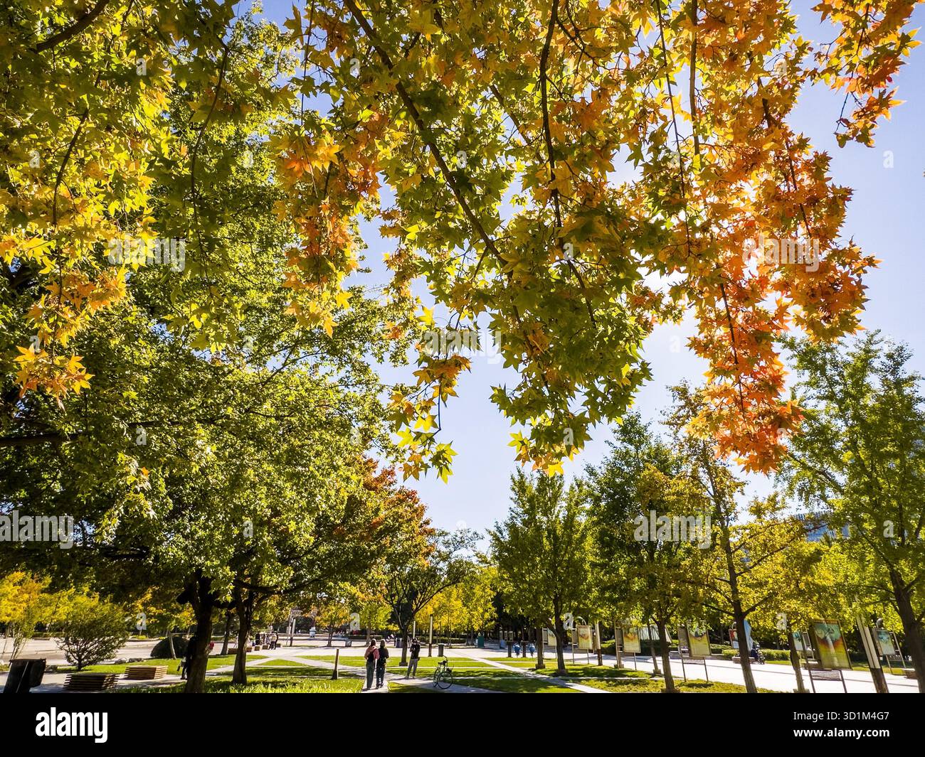 Autumn scenery at the Canal Culture Square in Beijing, China, 26 ...