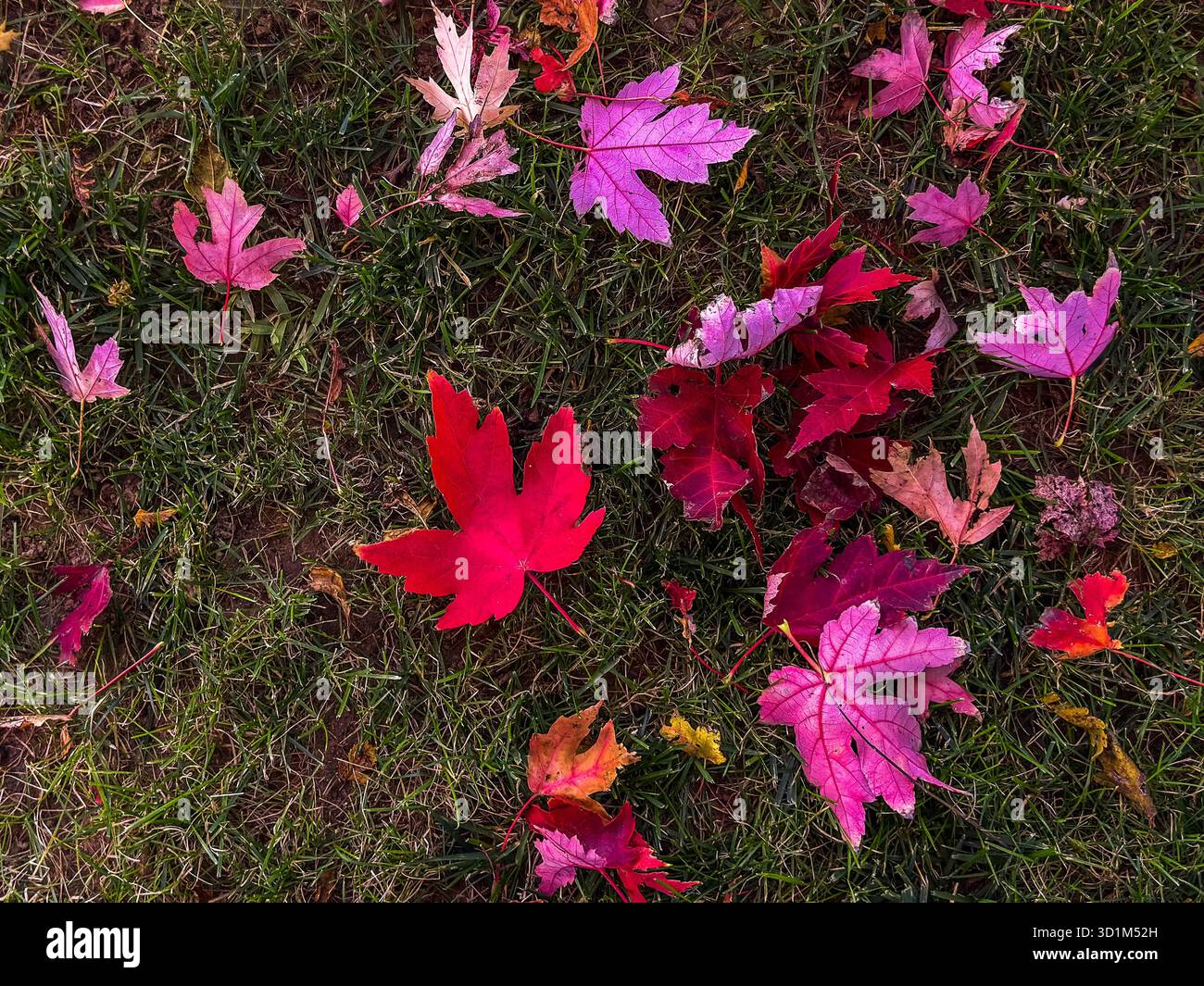 Autumn scenery at the Canal Culture Square in Beijing, China, 26 ...