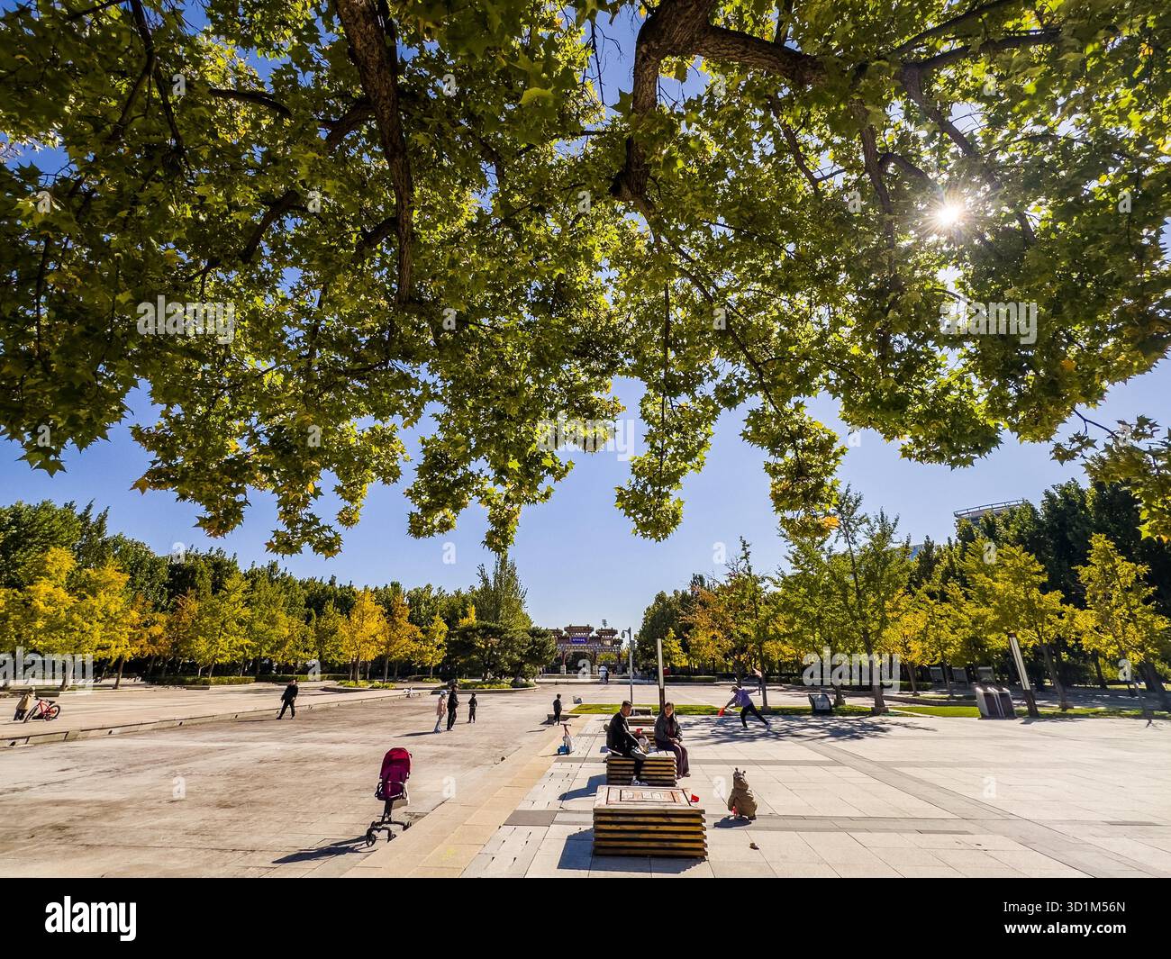 Autumn scenery at the Canal Culture Square in Beijing, China, 26 ...