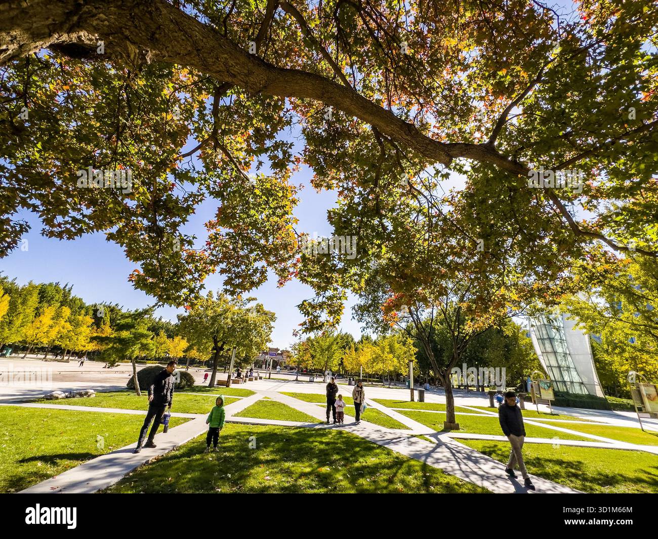 Autumn scenery at the Canal Culture Square in Beijing, China, 26 ...