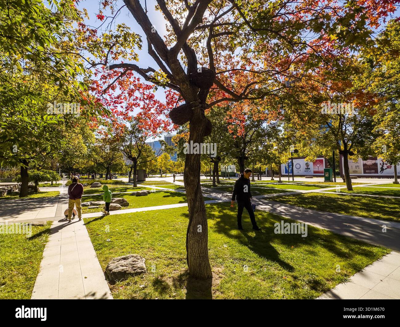 Autumn scenery at the Canal Culture Square in Beijing, China, 26 ...