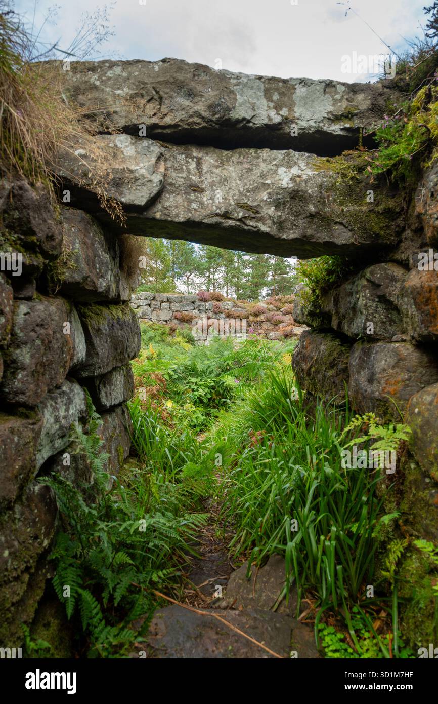 Tappoch Broch, better known as Torwood Broch, is an iron-age broch ...